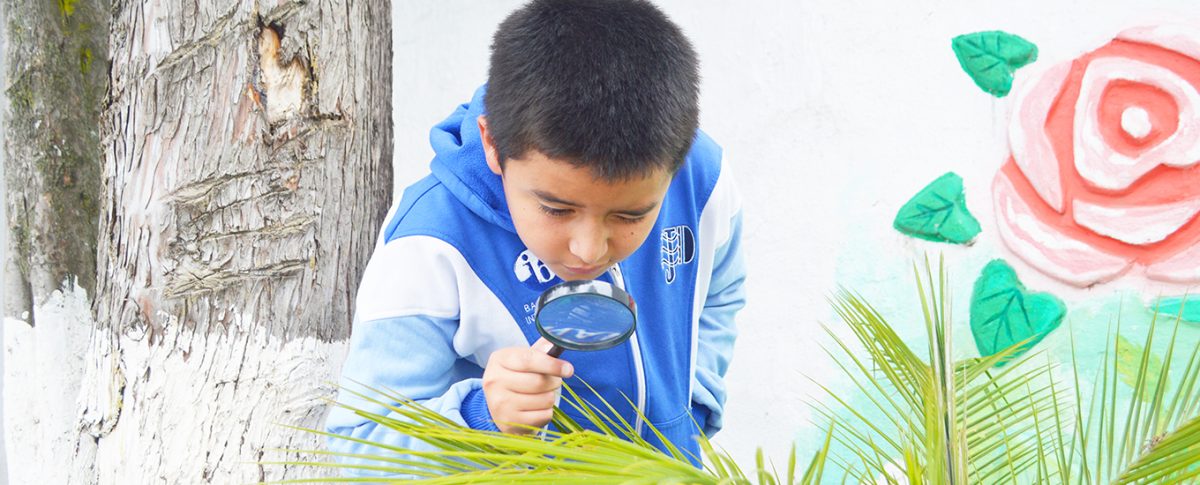 PEP – Primaria – EJDalcroze